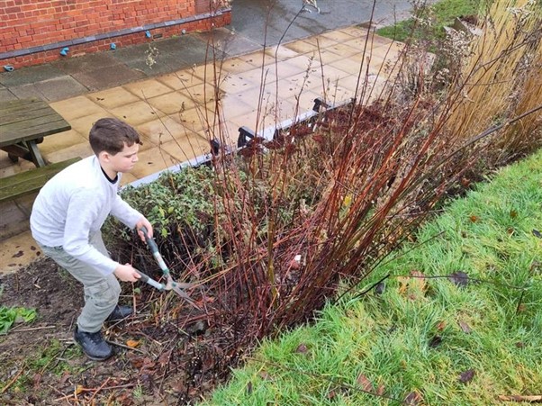 garden2 – Bettws Lifehouse
